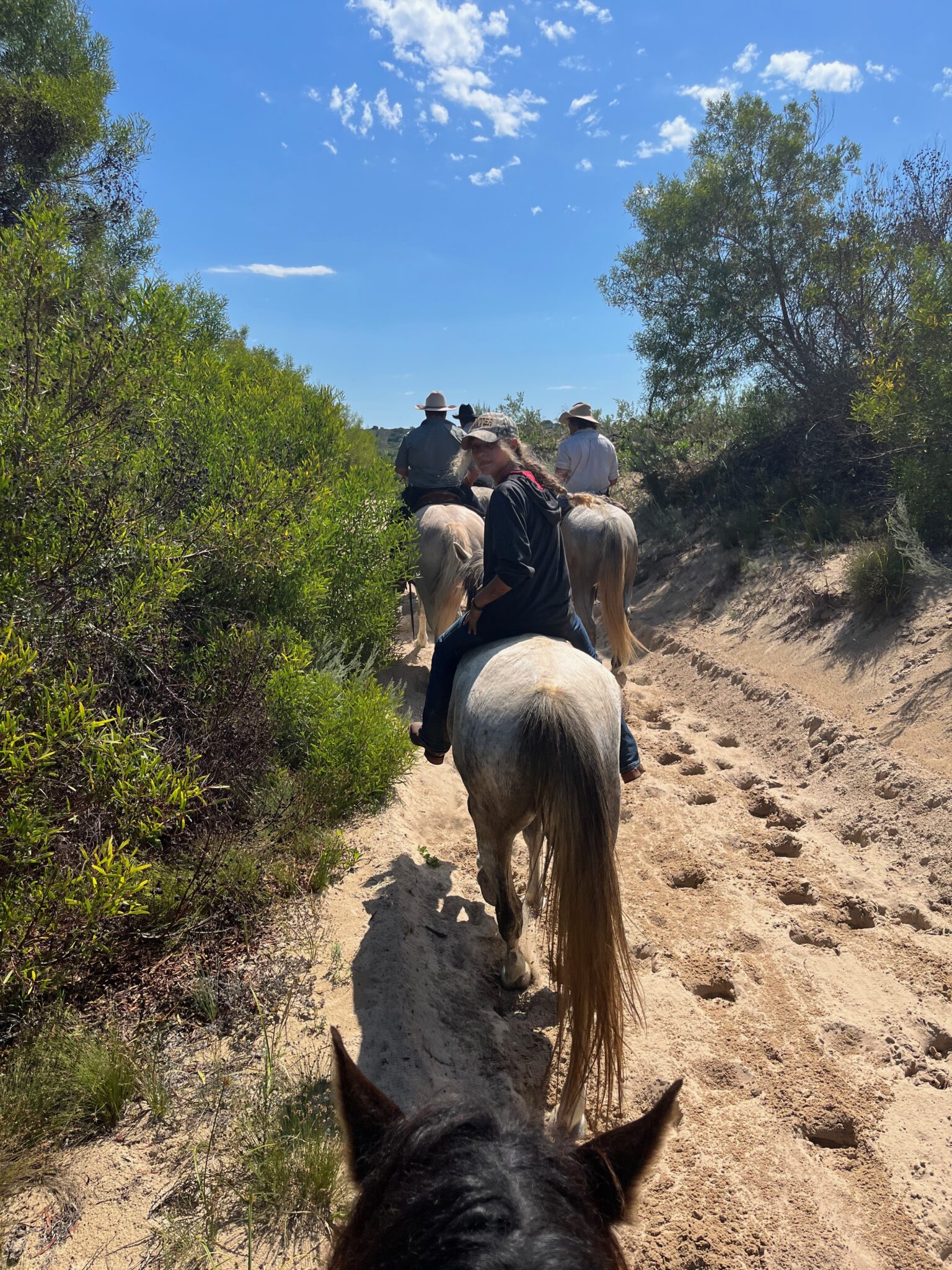 Services - Featherfoot